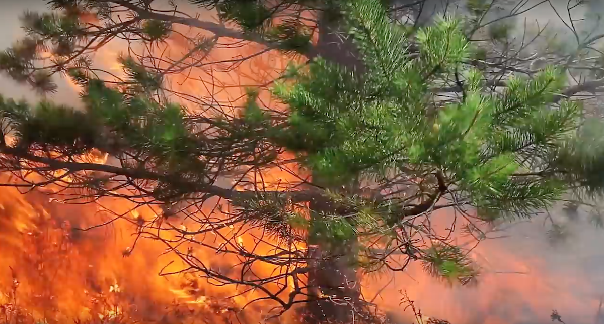 BEPPLE – After warning upon warning about climate change, will we act ...