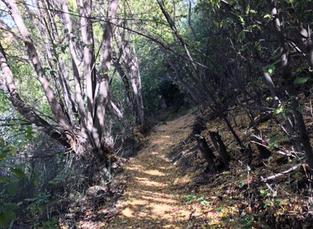 EDITORIAL – Loss of Jack Gregson Trail goes beyond the trail itself ...