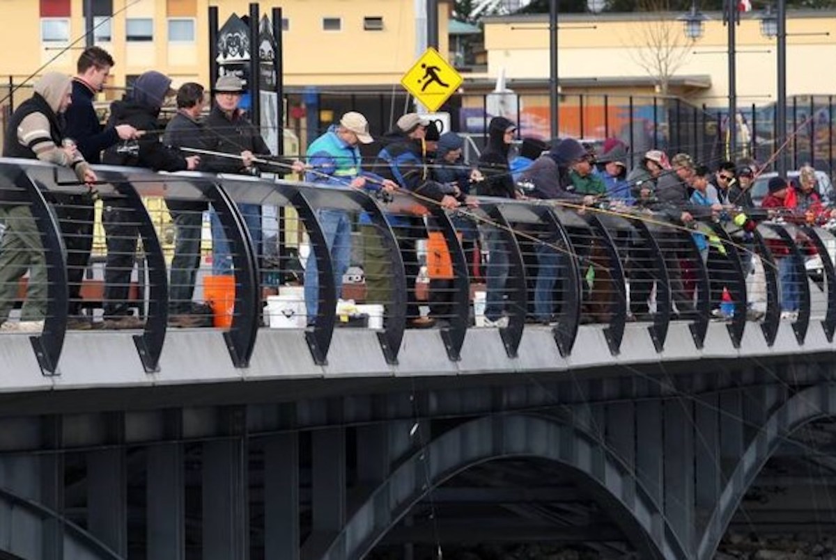 KNOX – Herring only live in memories of fishing from the Craigflower ...