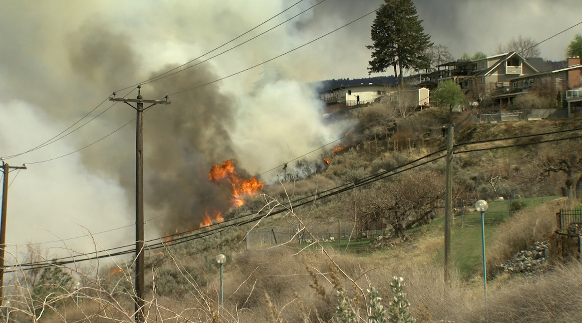 FIRE – Strathcona Park blaze being investigated as criminal in nature ...